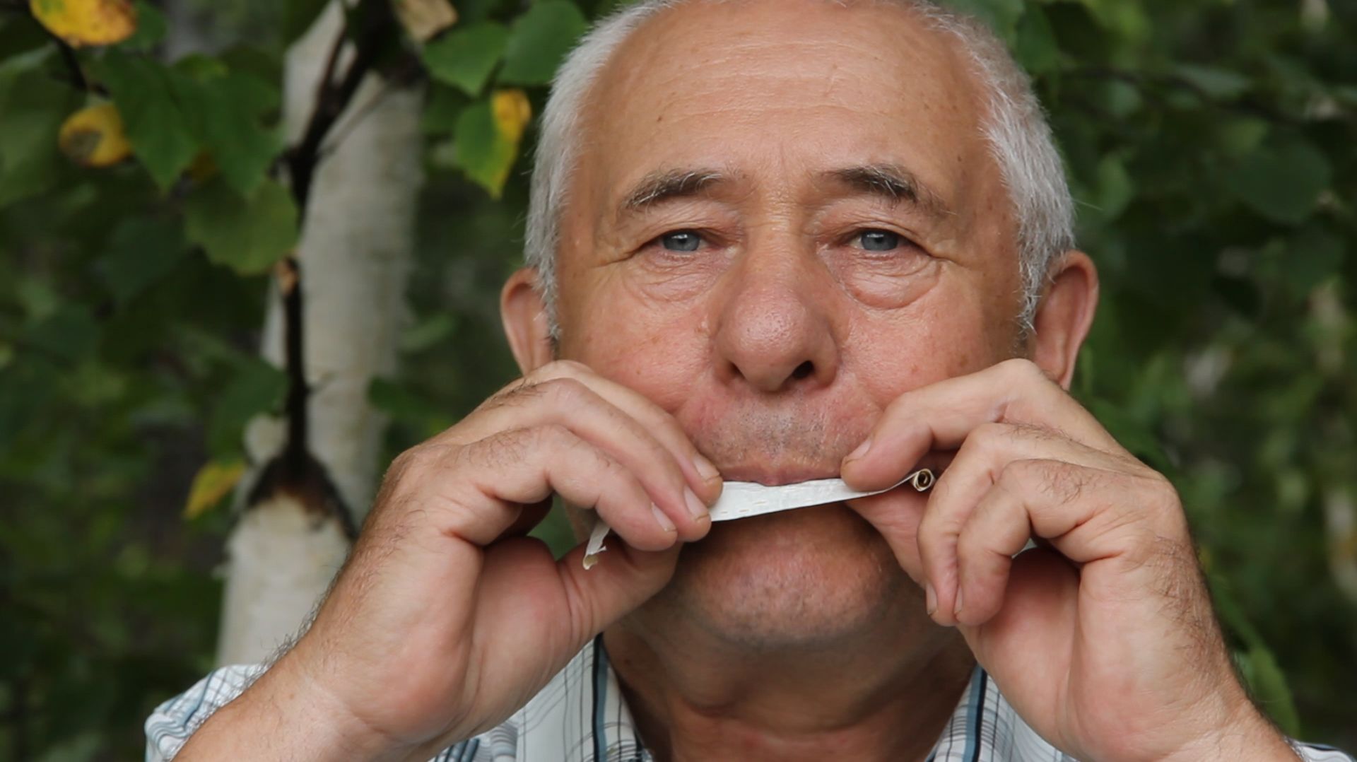 Мөҗәһит Әхмәтҗанов "Кош сайравы"