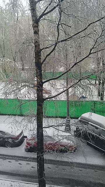 Один день в Москве, см описание, это предложение оказания услуг, снег в апреле