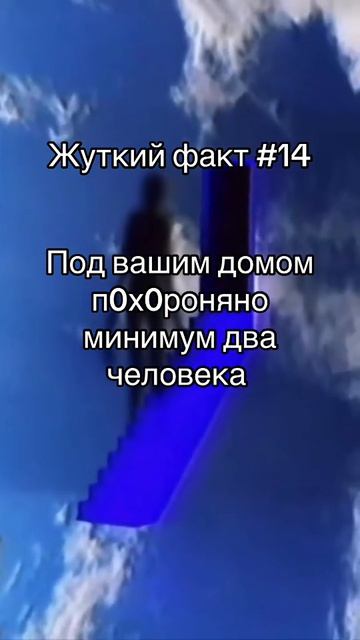 факт #29