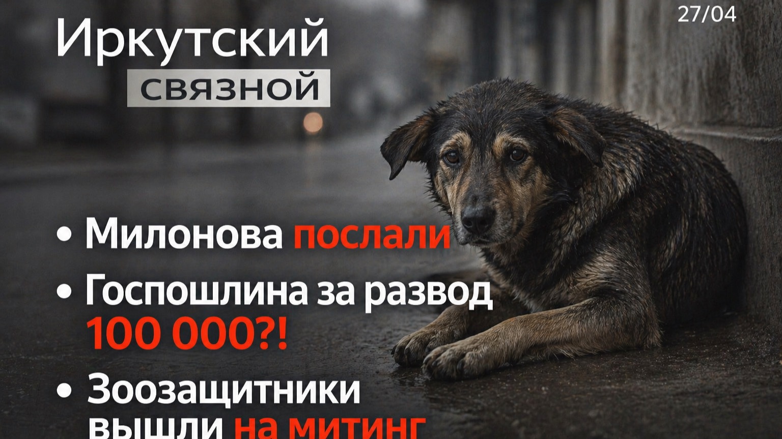 Милонова послали. Госпошлина за развод 100 тыс рублей?! Зоозащитники вышли на митинг в Иркутске