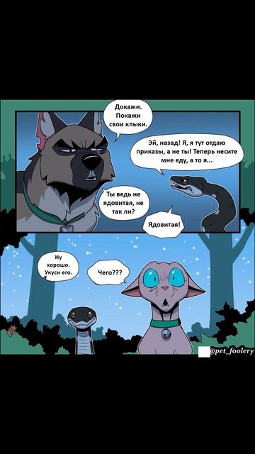 Долгая история (Часть 3 из 5) Пикси и Брут