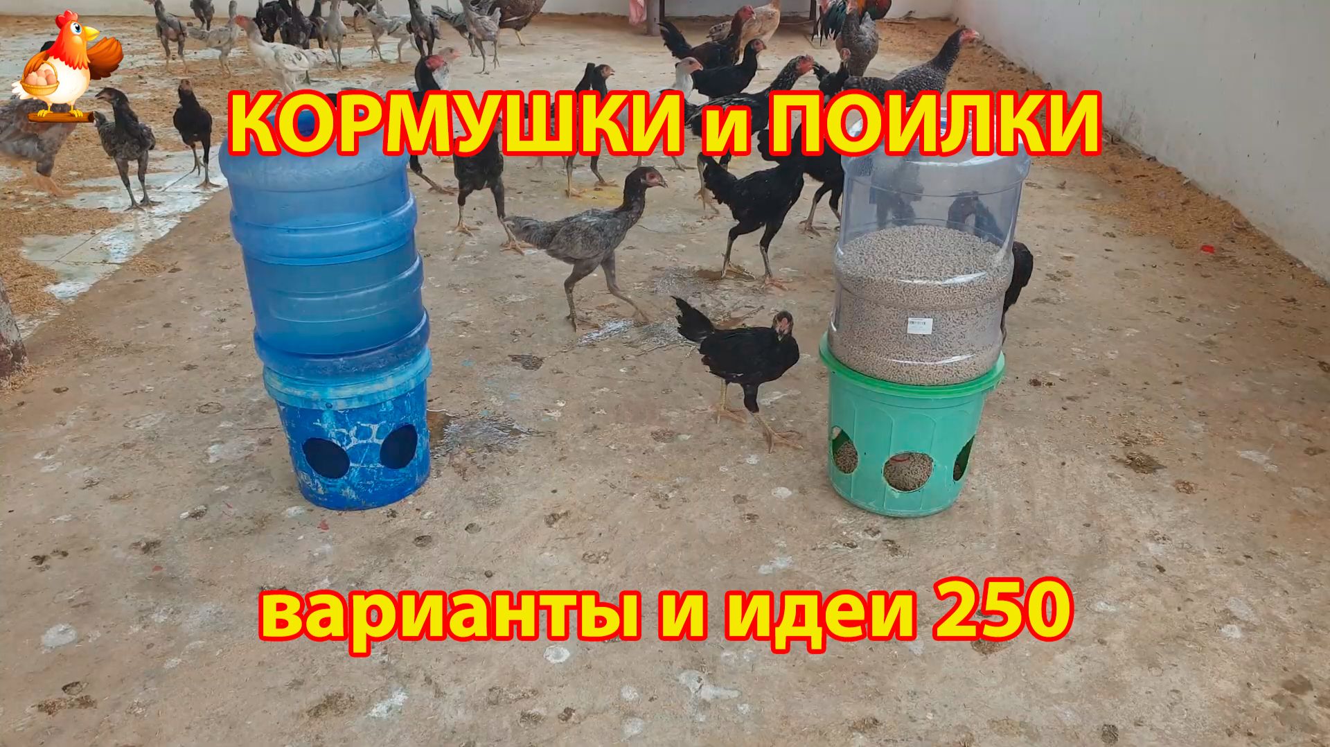 Кормушки и поилки для кур своими руками 250 🪚✂️ Пошаговая инструкция как сделать 🐔 🐓❣️
