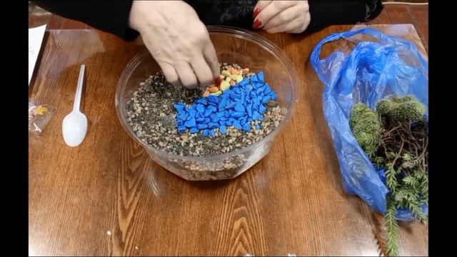 Мастер-класс "Кактусовый мир" Павлов-Хуторской СДК