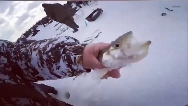 Кто успел, того и рыба))