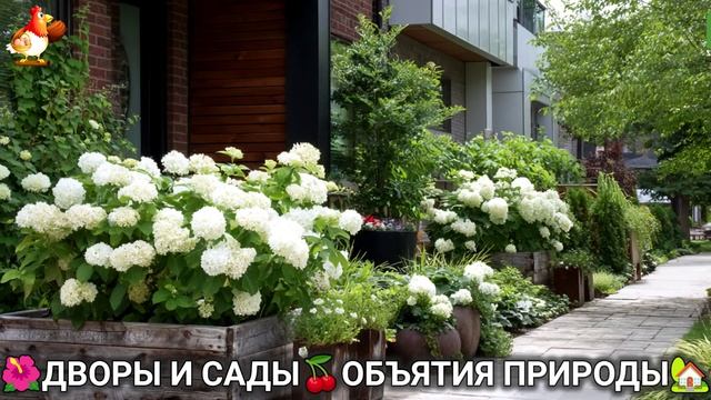 Дворы и сады 🍒 идеи оформления дачи в объятиях природы 🏡 (3) 🍒