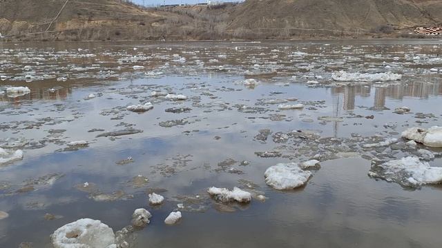 Весна. Мана вскрылась. Красноярск. 2026 апрель