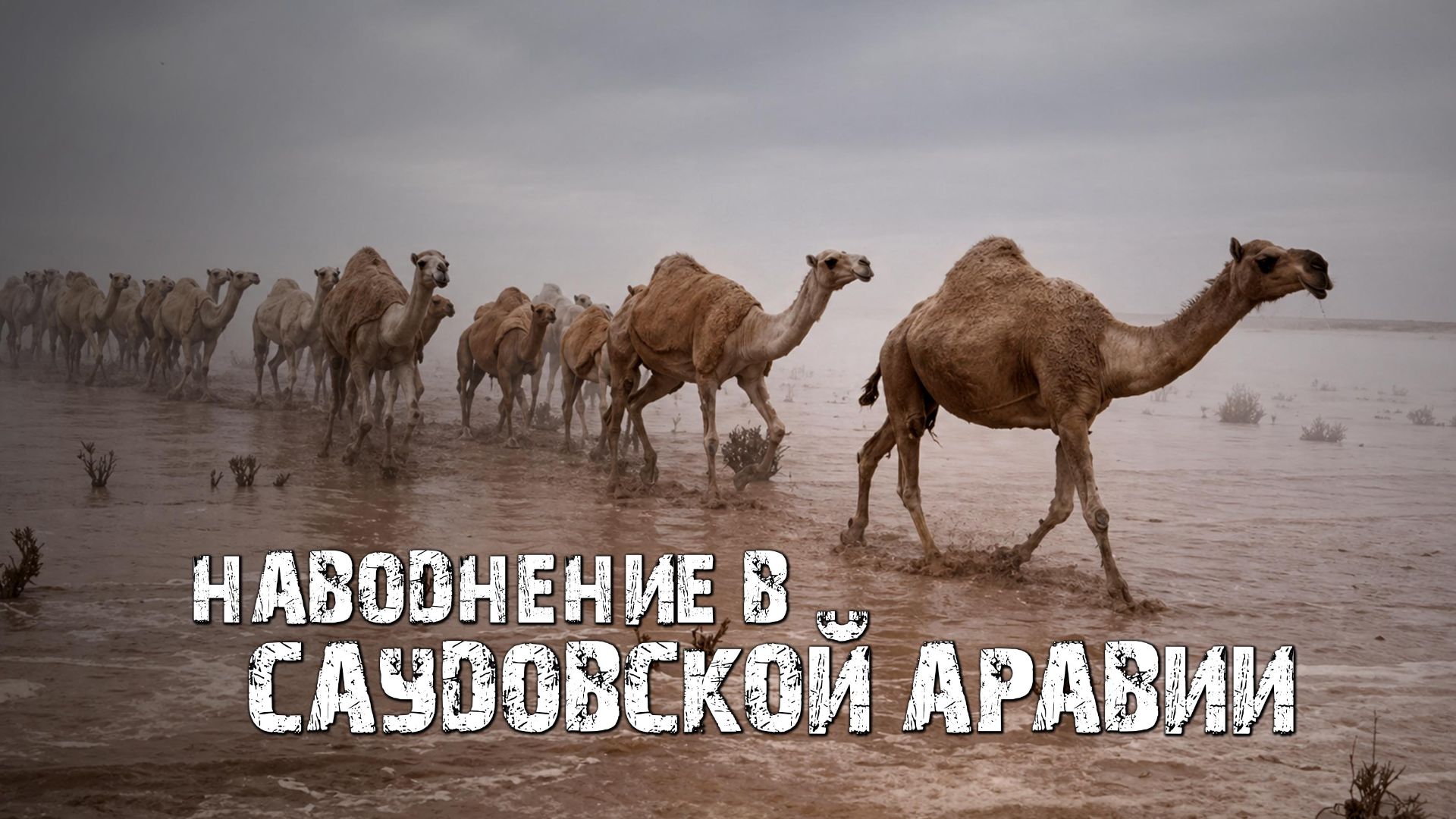 Наводнение в Саудовской Аравий - Всем стоит сделать вывод!