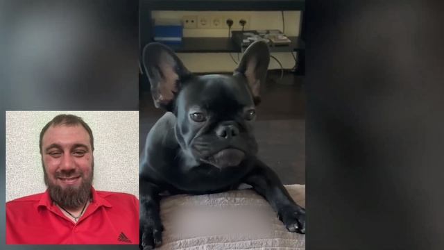 СМЕШНО до ИКОТЫ! (Нарезка)