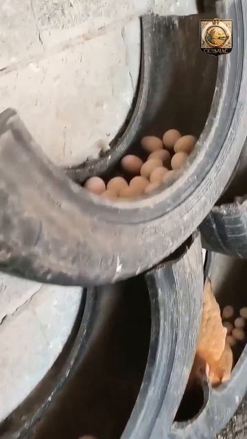 Дача своими руками.