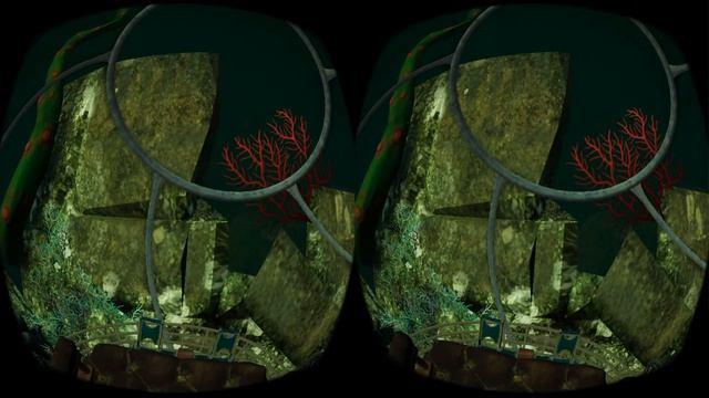 Under the water VR Video_1080pFHR