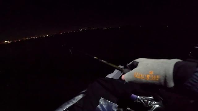 Кто жуёт судаков на Волге? Ночная рыбалка на спиннинг.