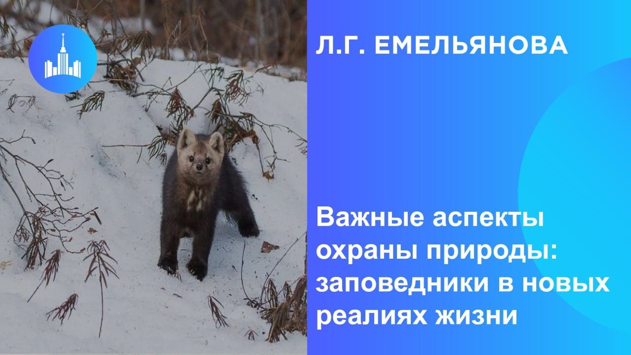 13.12.2025 Важные аспекты охраны природы: заповедники в новых реалиях жизни