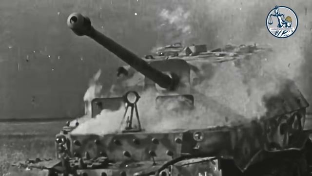 Кинохроника Курской битвы, июль 1943