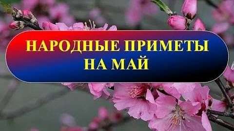 Народные приметы на май