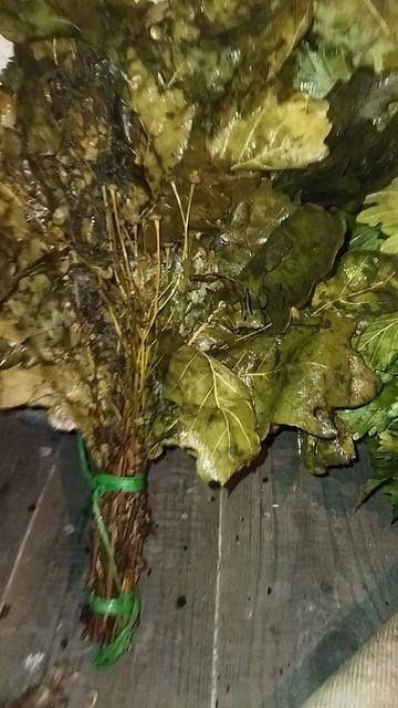 Деревенский банный день.Пробует новые веники в бане