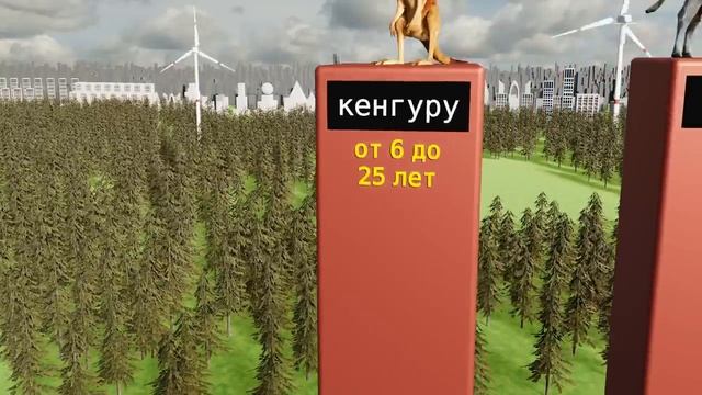 Какие животные могут жить до 15 000 лет? Это действительно удивительно!