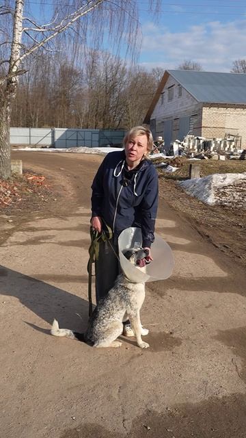 Призрак на пути к выздоровлению: история бродячего пса с переломом лапки 🐶❤️