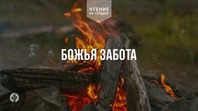 БОЖЬЯ ЗАБОТА  | АУДИО |	31	  мая 2026