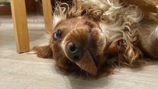 Зелёная трава