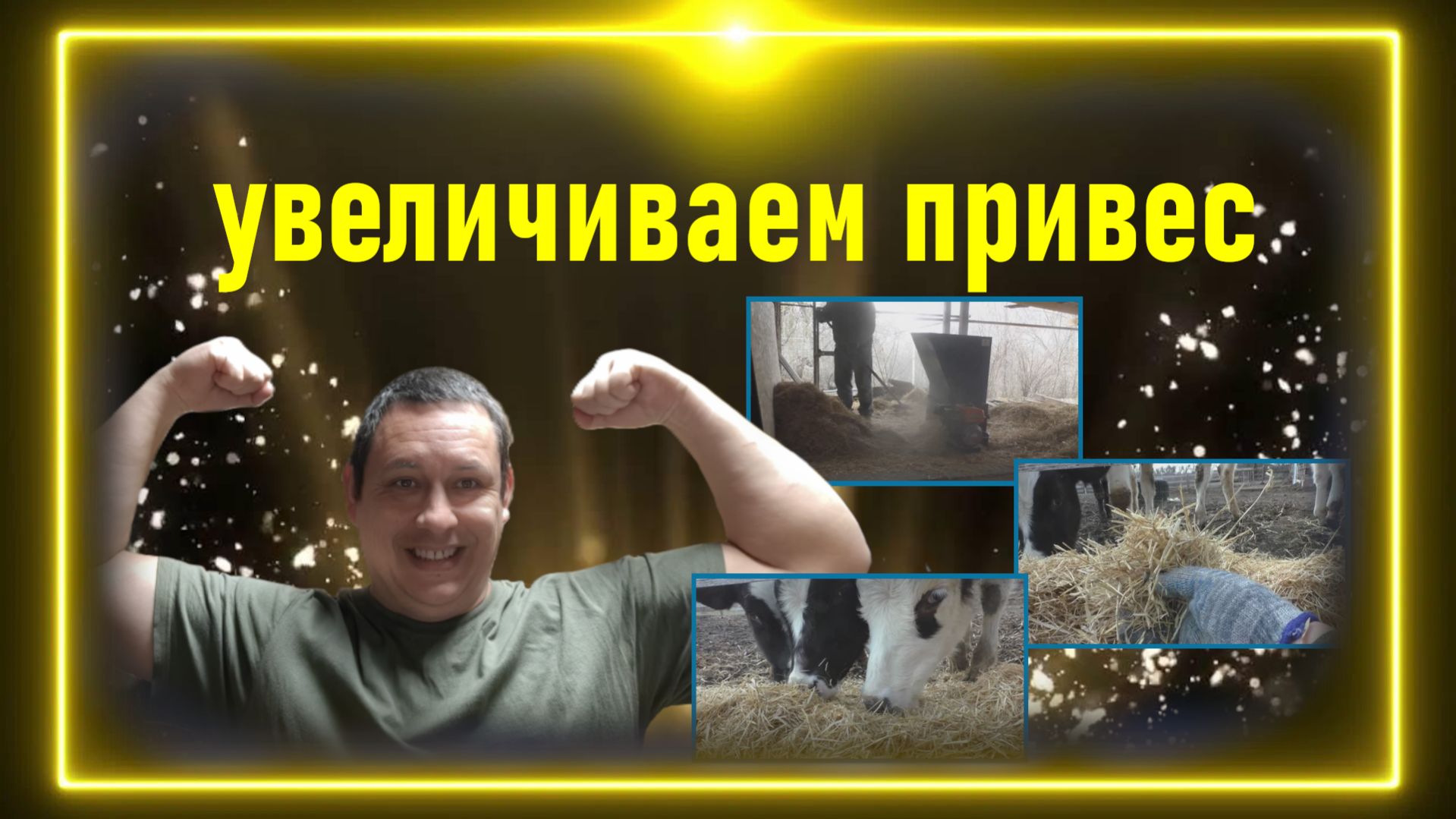 Зачем дробить солому или сено для коров?