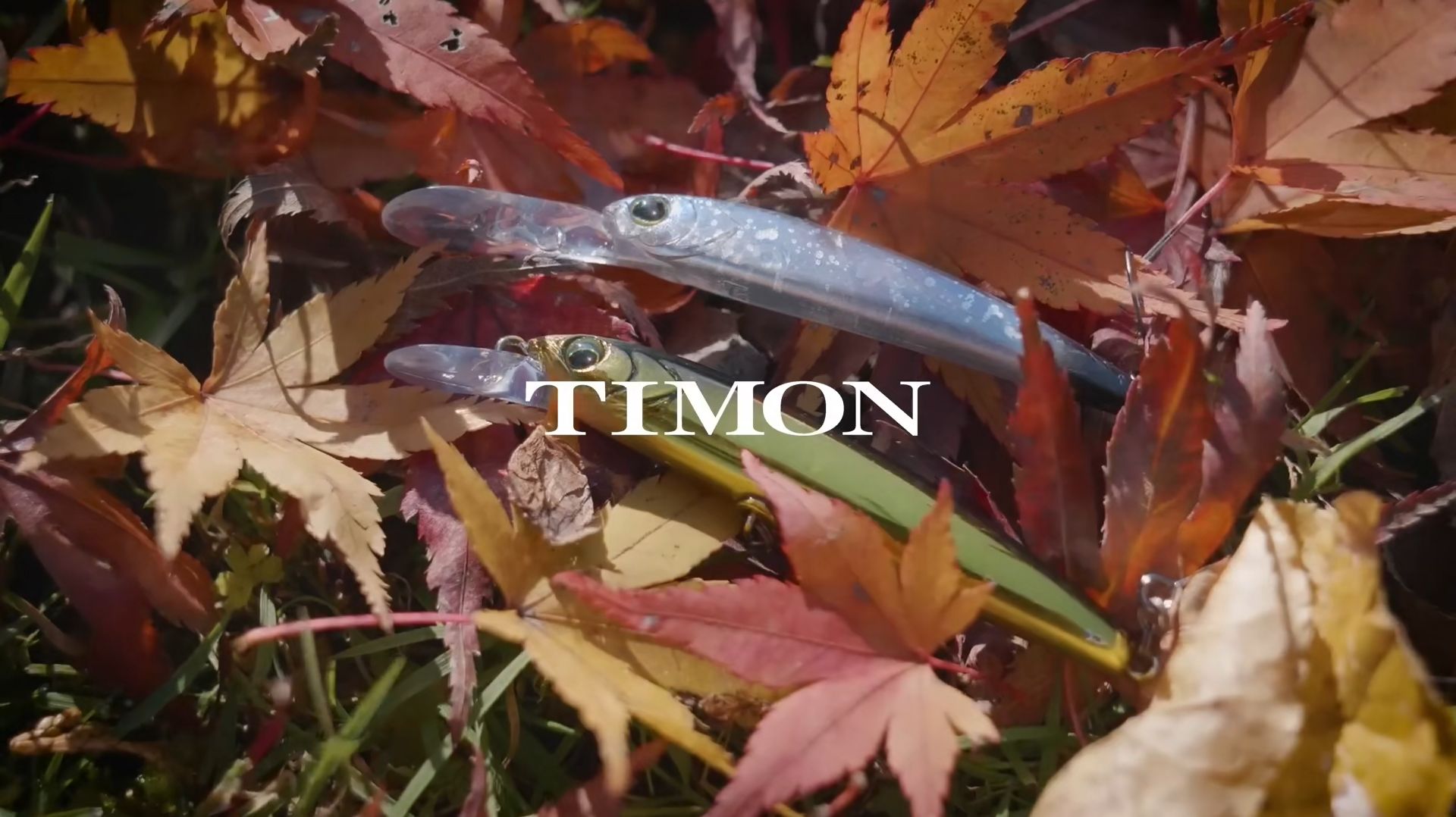 Как ловить прудовую форель на минноу TIMON Slidon и TC Reigen / Ясухиро Кадосава