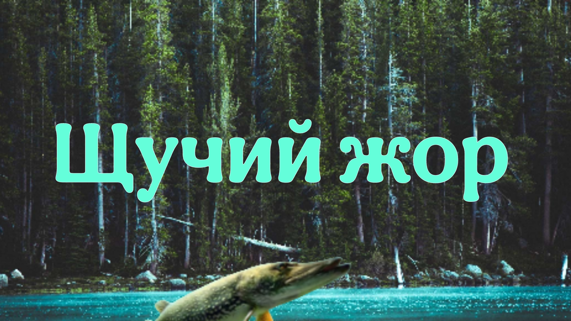 Рыбалка на спиннинг, ловля щуки.