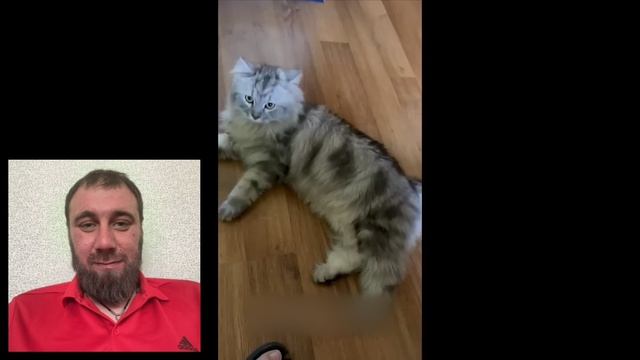СМЕШНО до ИКОТЫ! (Нарезка)