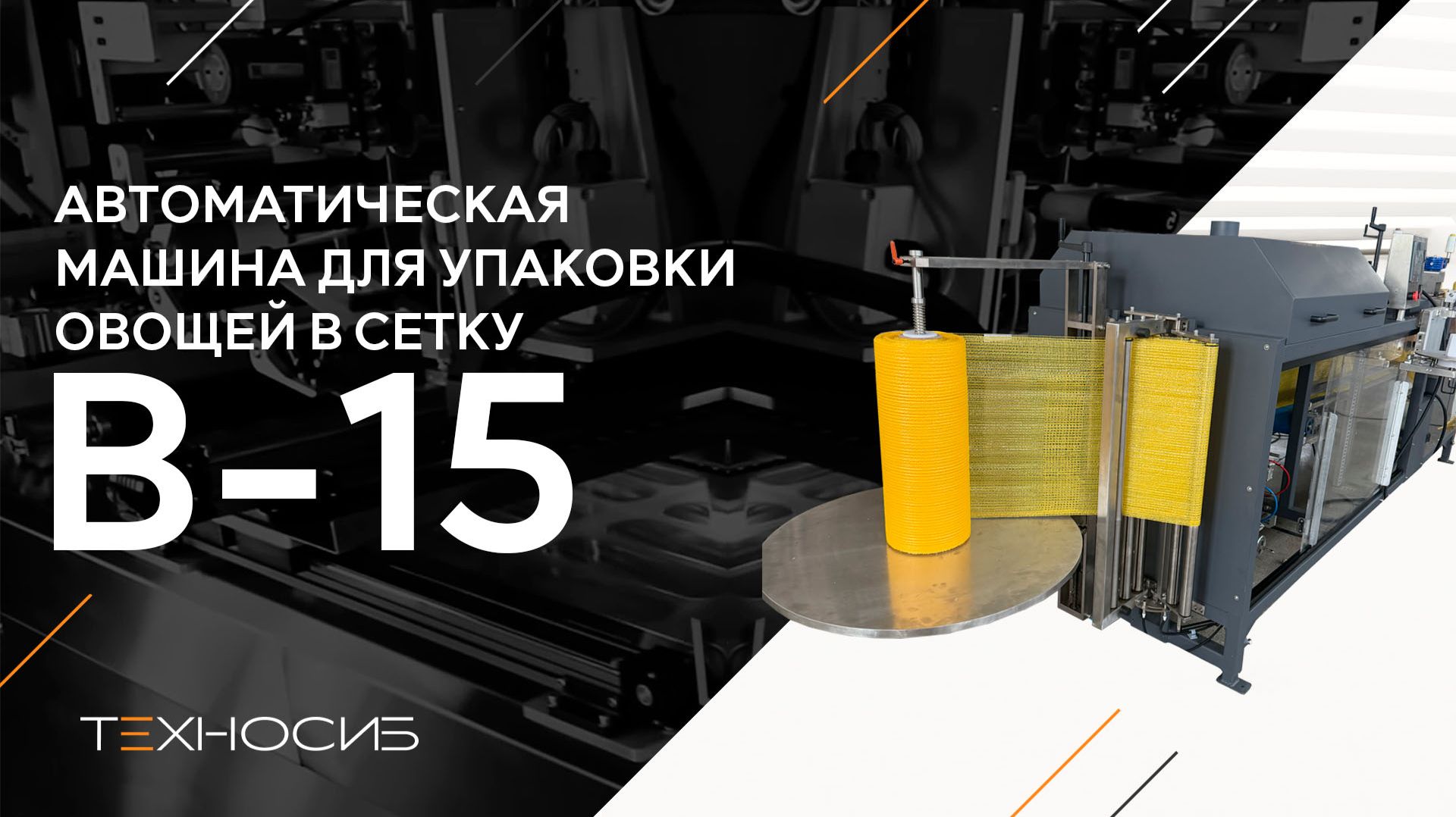 Автоматическая машина для упаковки овощей в сетку B-15