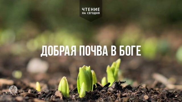 ДОБРАЯ ПОЧВА В БОГЕ  | АУДИО |	14	  мая 2026