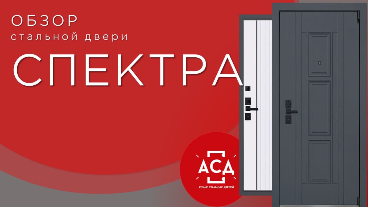 Стальная дверь Спектра. Заказная модель