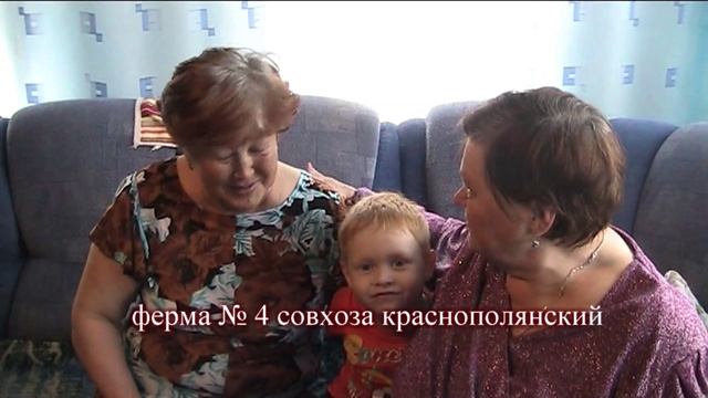 Шадрино 2017 год