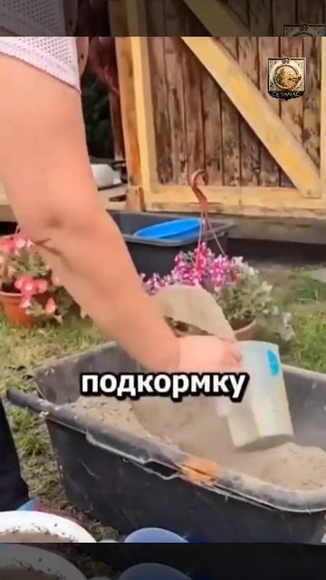 Дача своими руками.