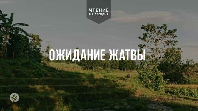 ОЖИДАНИЕ ЖАТВЫ  | АУДИО |	13	  мая 2026