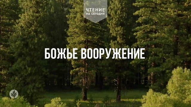 БОЖЬЕ ВООРУЖЕНИЕ  | АУДИО |	9	  мая 2026