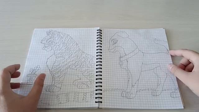Закончила тетрадь с рисунками