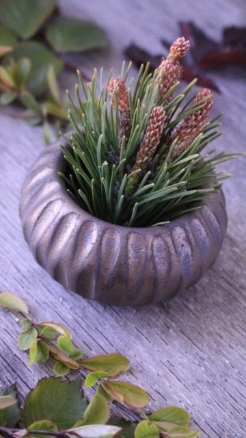 Несколько новинок от Cool Glazes