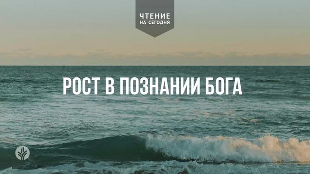 РОСТ В ПОЗНАНИИ БОГА  | АУДИО |	12	  мая 2026