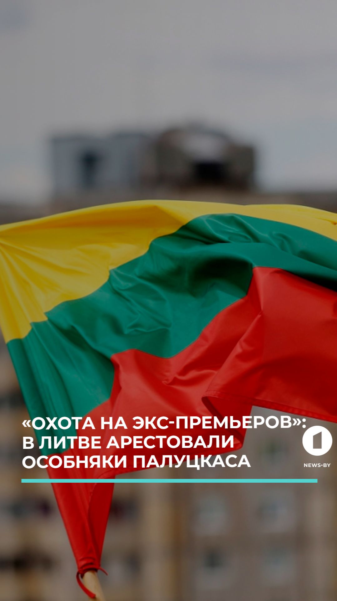 В Литве арестовали недвижимость экс-премьера Палуцкаса