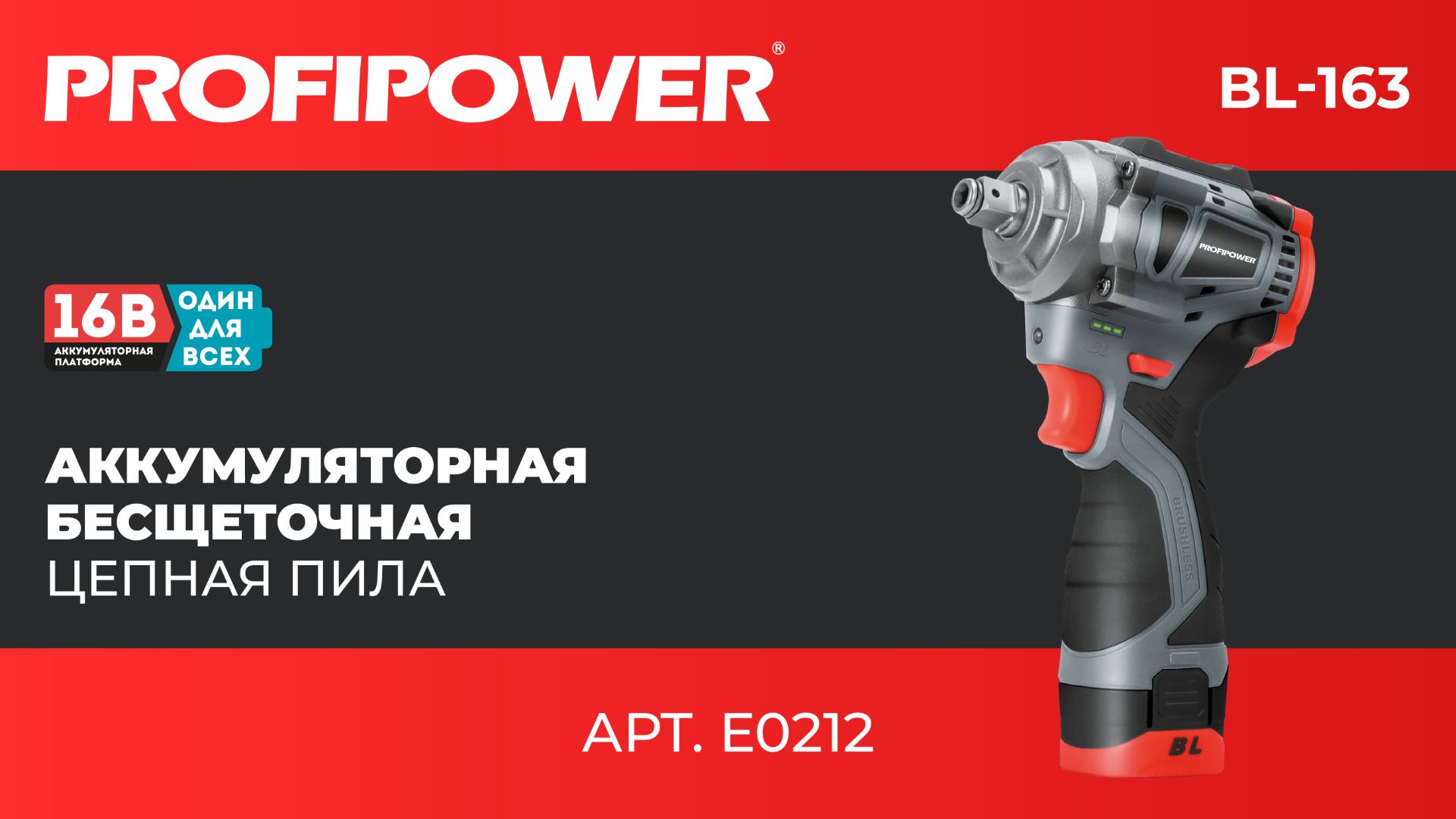 Аккумуляторный ударный гайковерт PROFIPOWER BL-163 артикул E0212