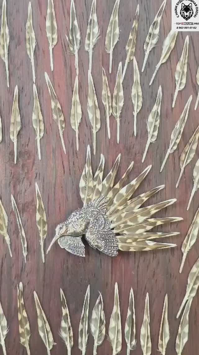 охота на вальдшнепа 2026 - живописные перья -вальдшнепа