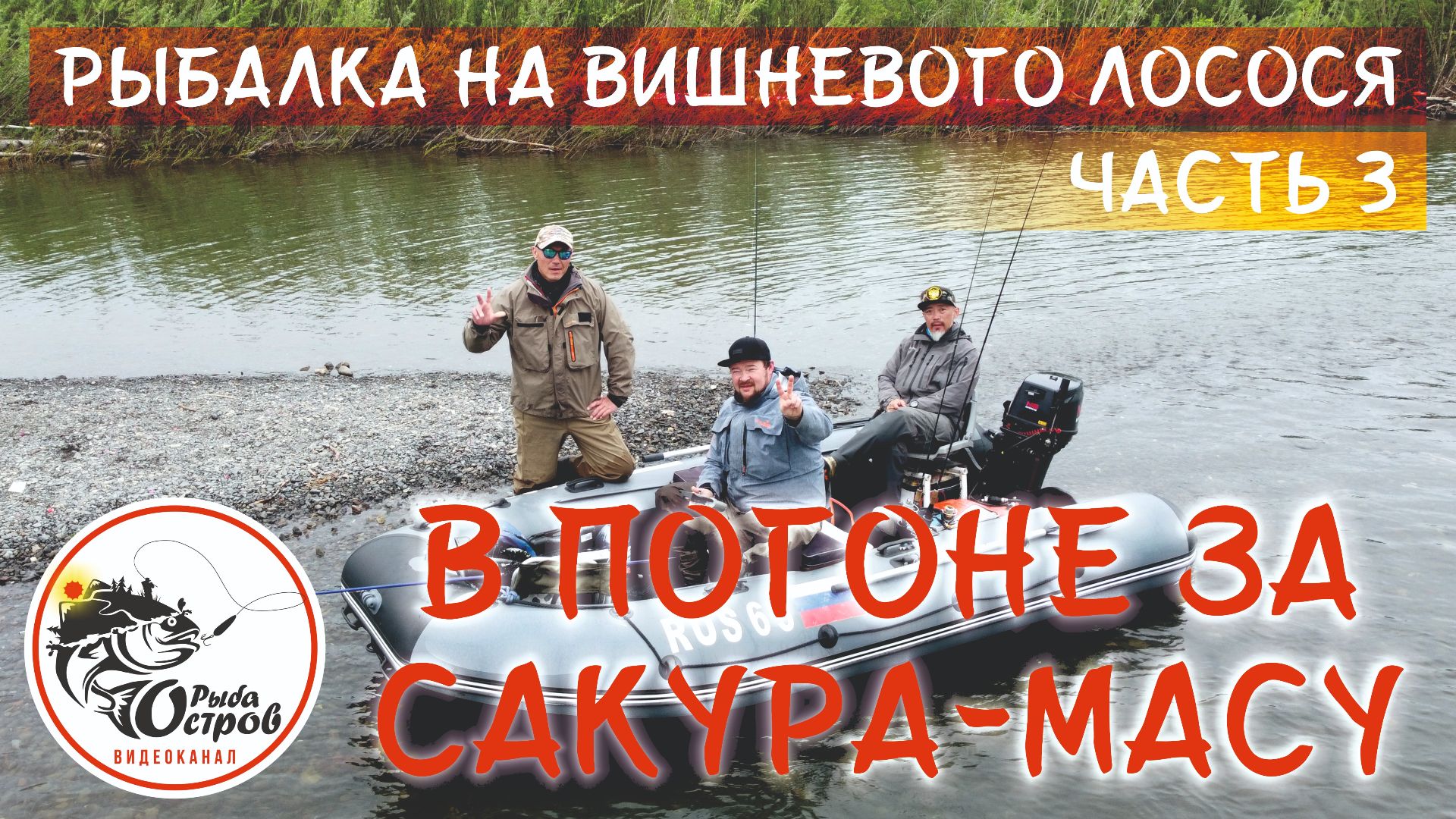 Ловля САКУРА-МАСУ (сима) на Сахалине: вишнёвый лосось — настоящий самурай среди рыб, Часть 3