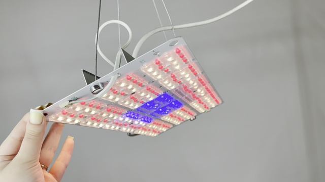 Квантумборд FITON QB-70 MAX-2 для растений 12-70 Вт линза полный спектр