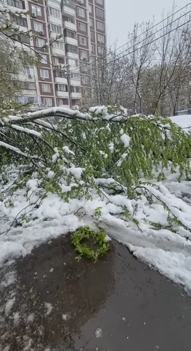 Жесть,перекрыт выезд,28.04.26 погода