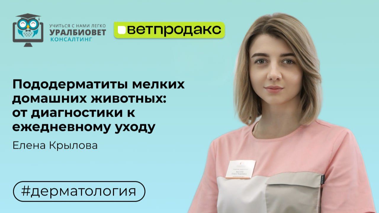 Пододерматиты мелких домашних животных: от диагностики к ежедневному уходу. Лектор Елена Крылова
