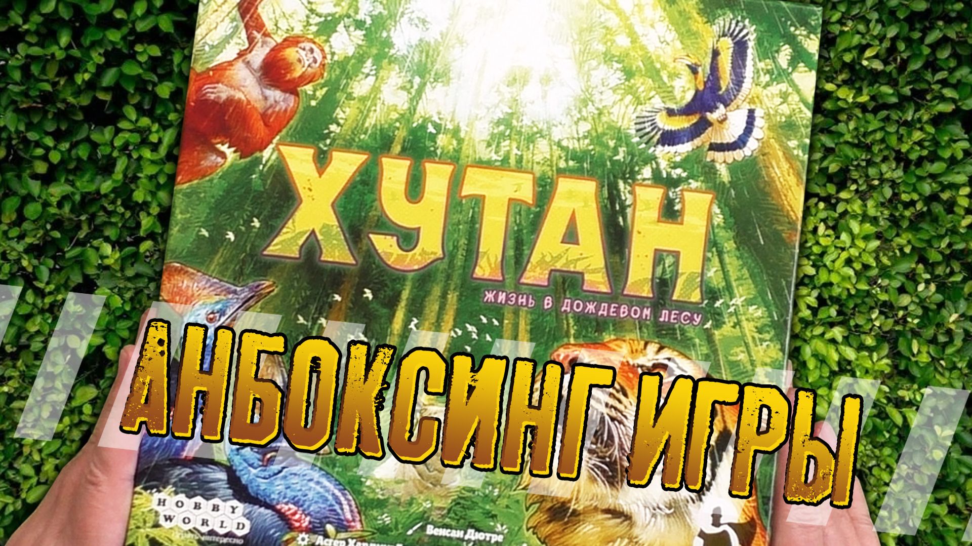 Потрошим настольную игру «ХУТАН. ЖИЗНЬ В ДОЖДЕВОМ ЛЕСУ»