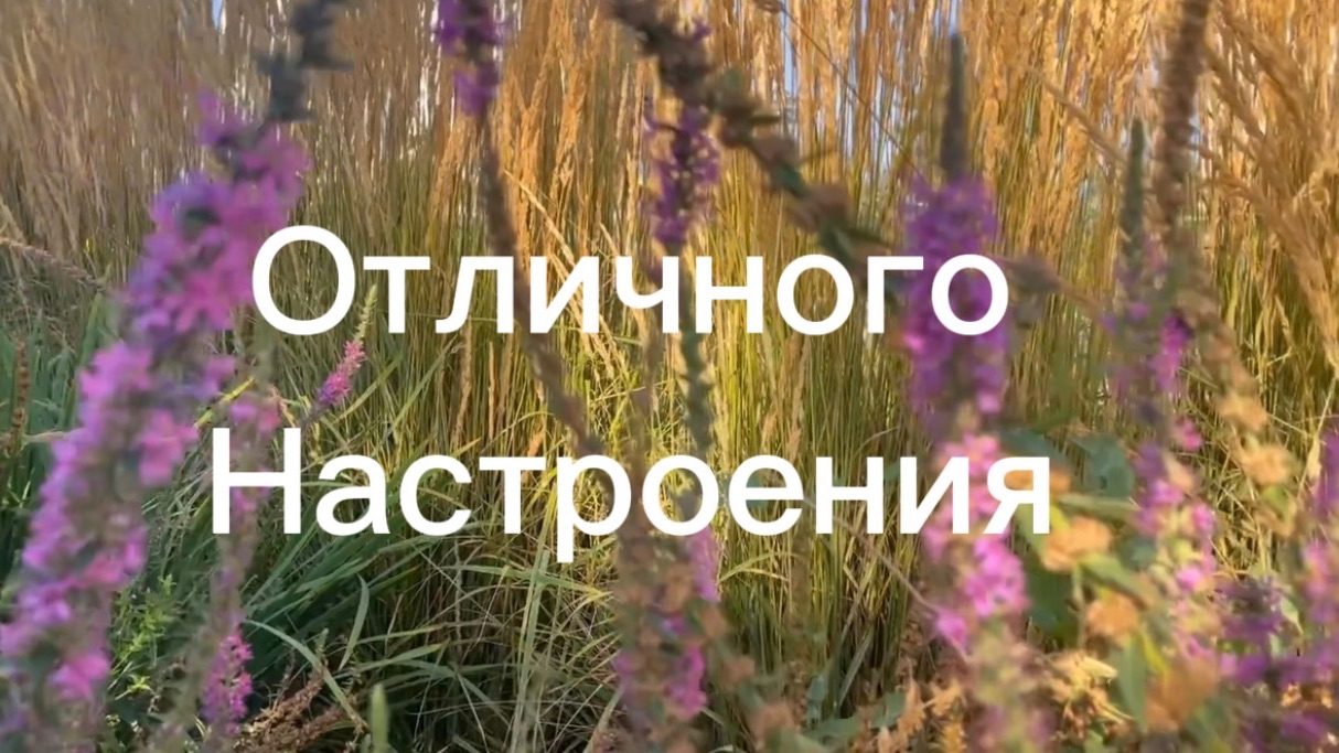 Отличного настроения, хорошего дня!