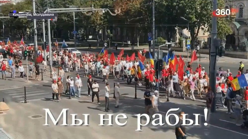 Мы не рабы. Стихи - Э.Роузи, монтаж и генерация звука в ИИ - Е.Доставалов