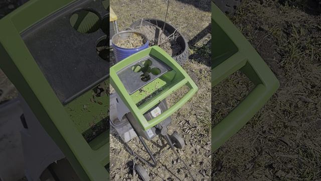 Сравнение реального результата щепорезов Stiga Bio Silent 2500 и Viking GE105.