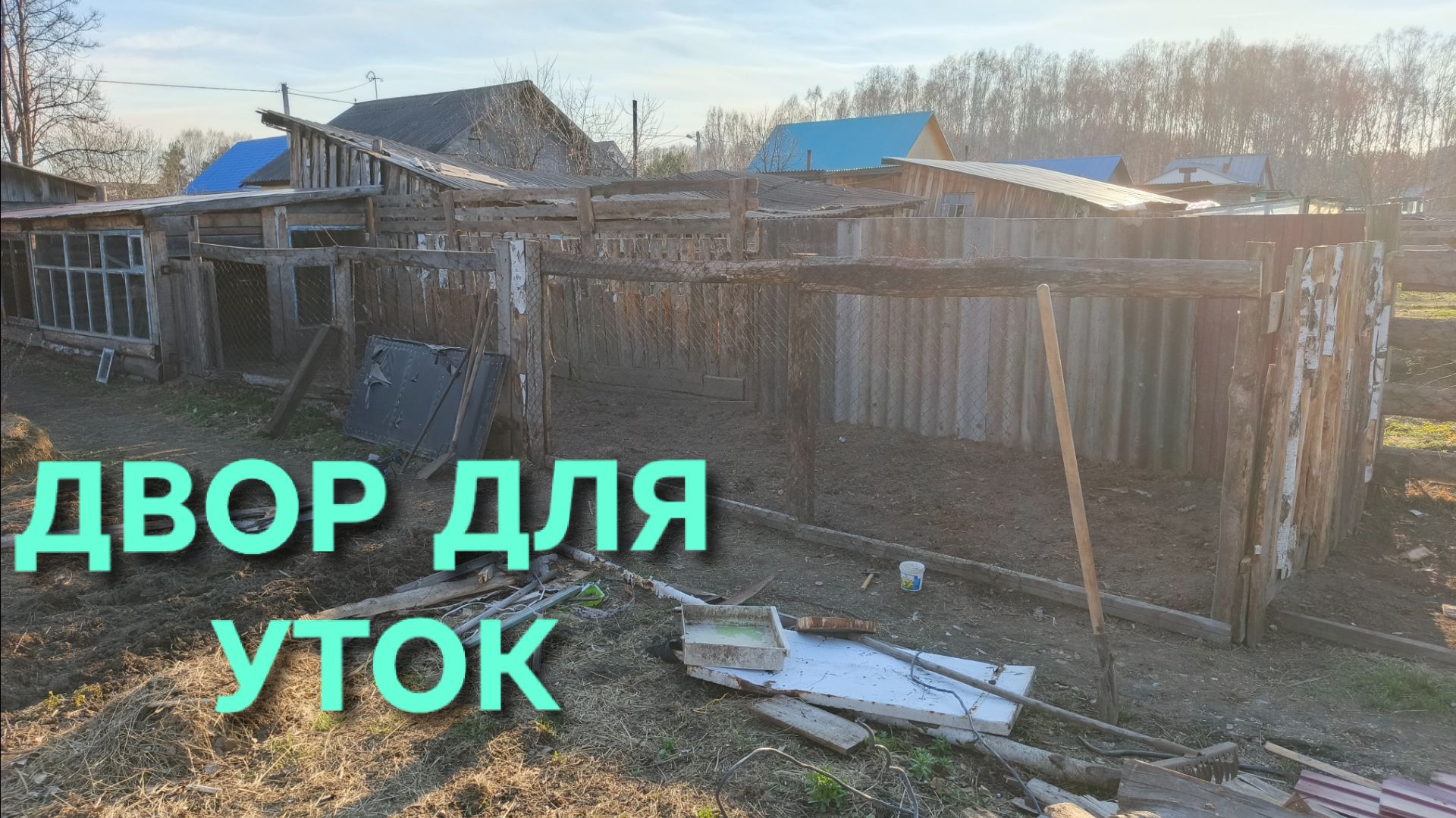 Уткам нужен простор Выгульный двор для уток почти готов