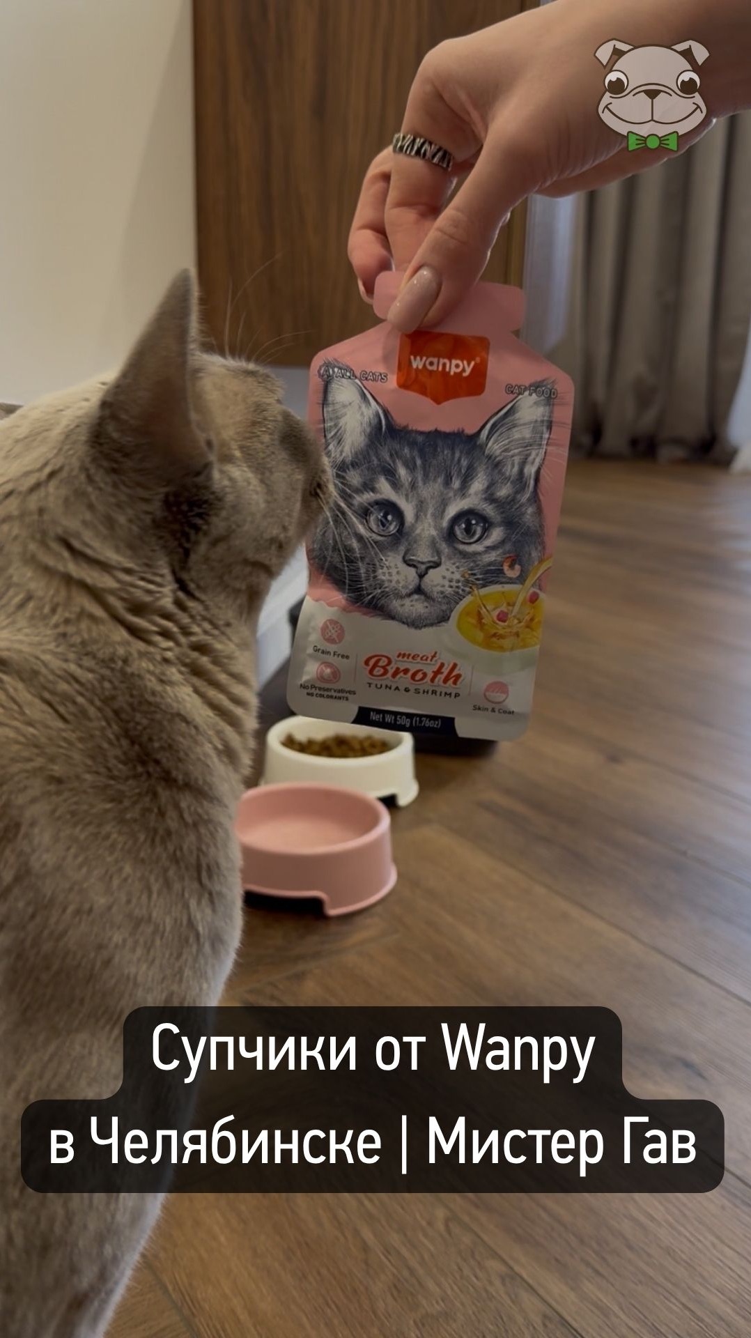 Дегустация: супчики Wanpy | «Мистер Гав» Челябинск #Shorts